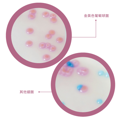 科瑪嘉 CHROMagar Staph aureus / 金黃色葡萄球菌培養基 - | CHROMagar | Neogen | Acumedia | JNC Chisso | MGC ...