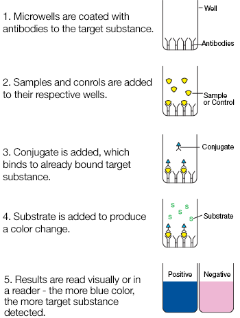定性免疫分析套組 - | CHROMagar | Neogen | Acumedia | JNC Chisso | MGC | iNL ABTEC | 台灣現用專業代理